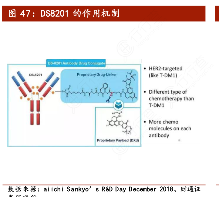 我想了解一下DS8201_的作用机制的答案_行行查_行业研究数据库