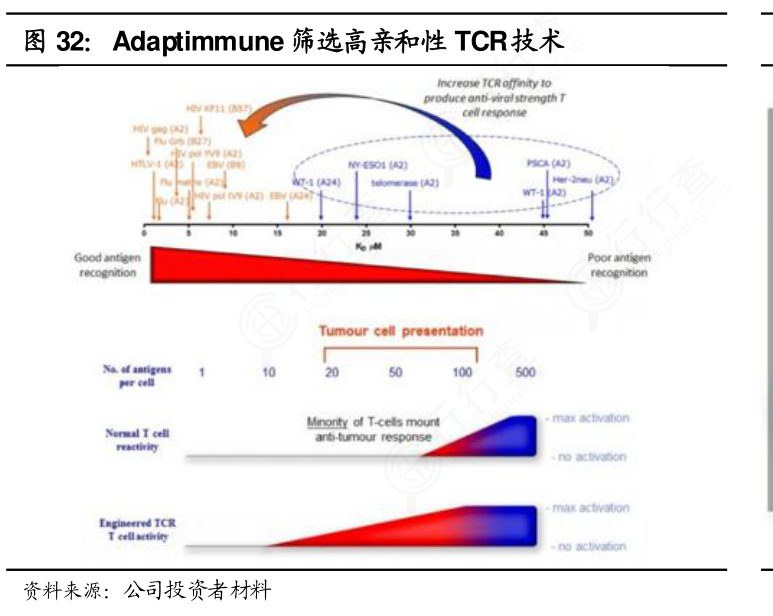 如何才能知道Adaptimmune筛选高亲和性TCR技术的信息_行行查_行业研究数据库