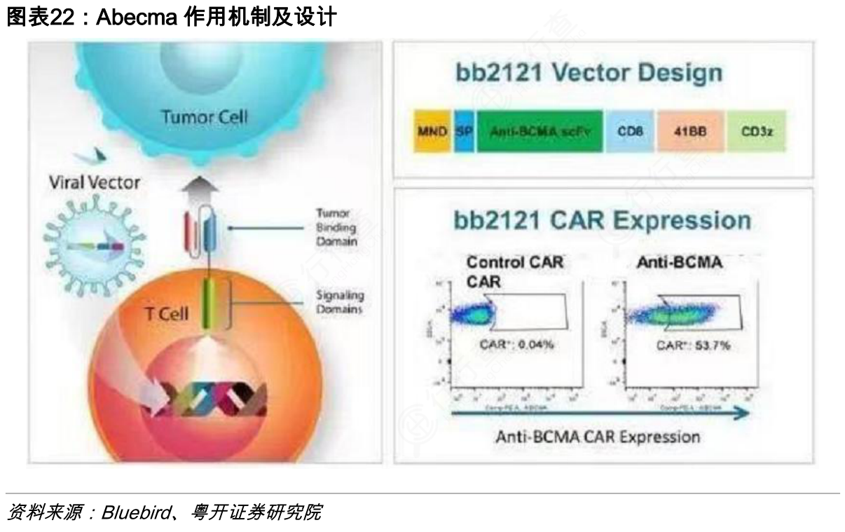 想请教下各位Abecma作用机制及设计的消息_行行查_行业研究数据库