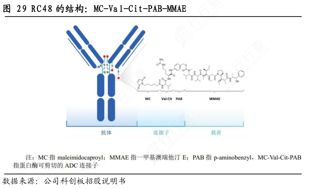 如何了解29_RC48_的结构：MC-Val-Cit-PAB-MMAE相关的信息_行行查_行业研究数据库