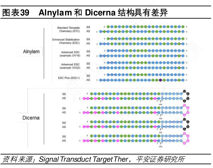 如何了解Alnylam和Dicerna结构具有差异具体情况如何_行行查_行业研究数据库