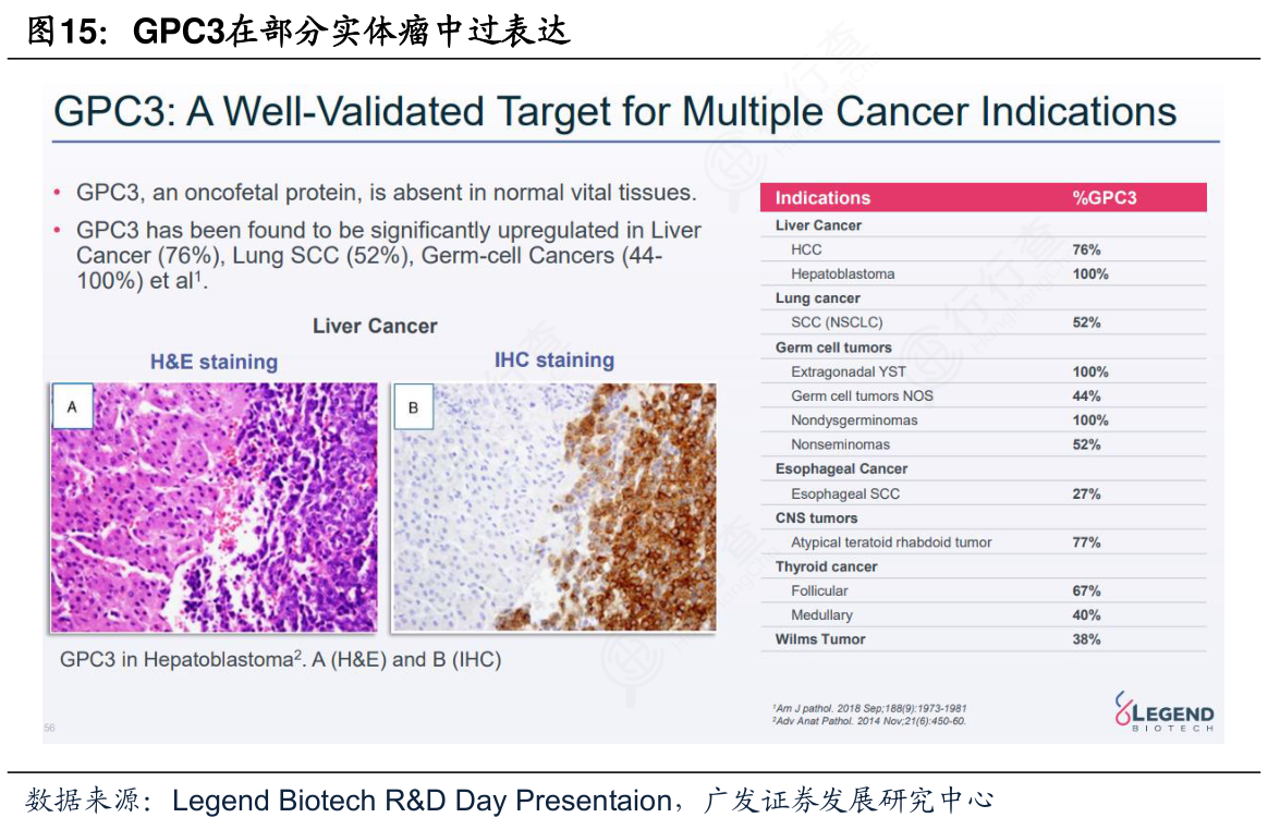 咨询大家GPC3在部分实体瘤中过表达是怎样的呢_行行查_行业研究数据库