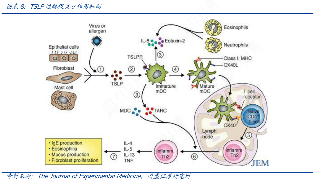 我想了解一下TSLP通路促炎症作用机制是怎样的呢_行行查_行业研究数据库