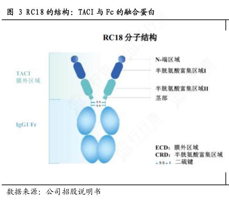 请教各位朋友3_RC18的结构：TACI与Fc的融合蛋白的真实信息_行行查_行业研究数据库